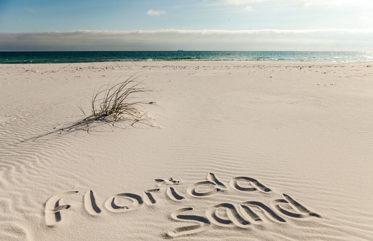 39 Best Souvenirs From Florida You MUST BUY from Your Trip! - Florida ...