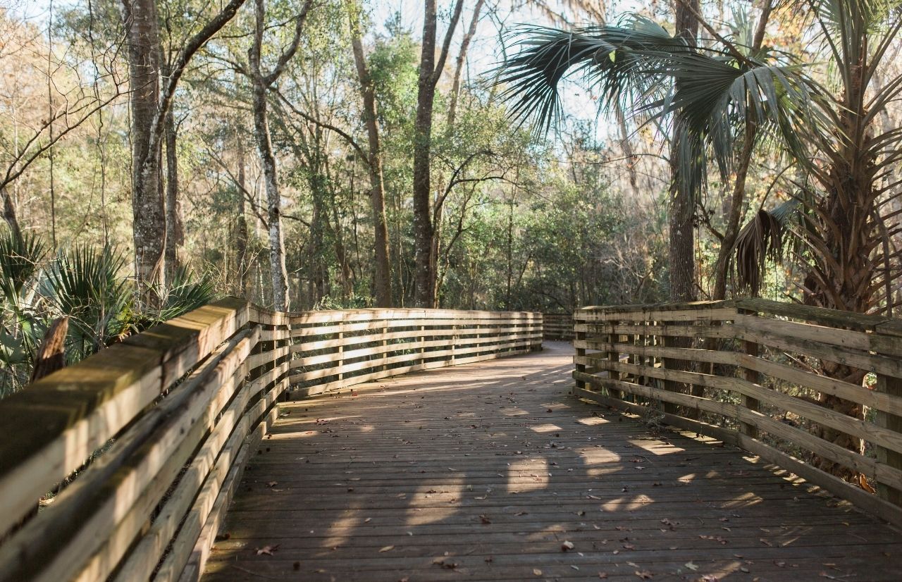 11 Best Trails and Parks in Gainesville That'll Take Your Breath Away ...