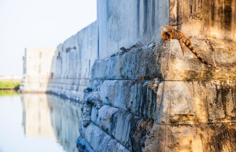 15 AMAZING Forts and Castles in Florida YOU Can’t Miss (2025) - Florida ...