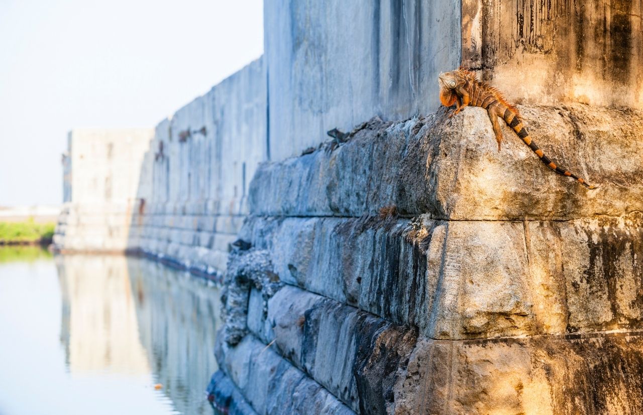 15 AMAZING Forts and Castles in Florida YOU Can’t Miss (2025) - Florida ...