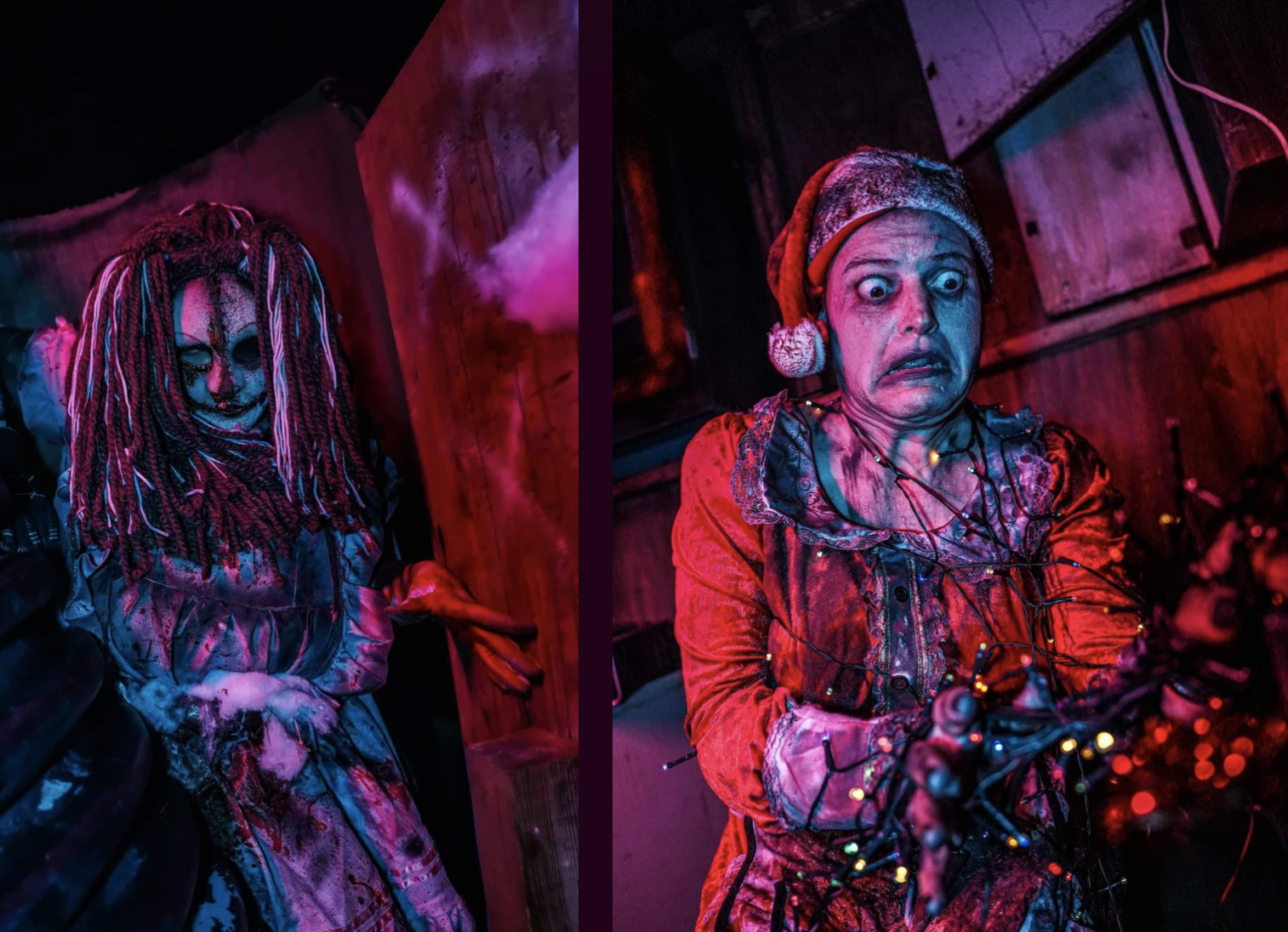 35 Scary and Fun Things to Do in Florida for Halloween (2025) - Florida ...