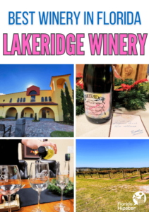 2025 First-timer's Guide to Lakeridge Winery & Vineyards: Florida's ...