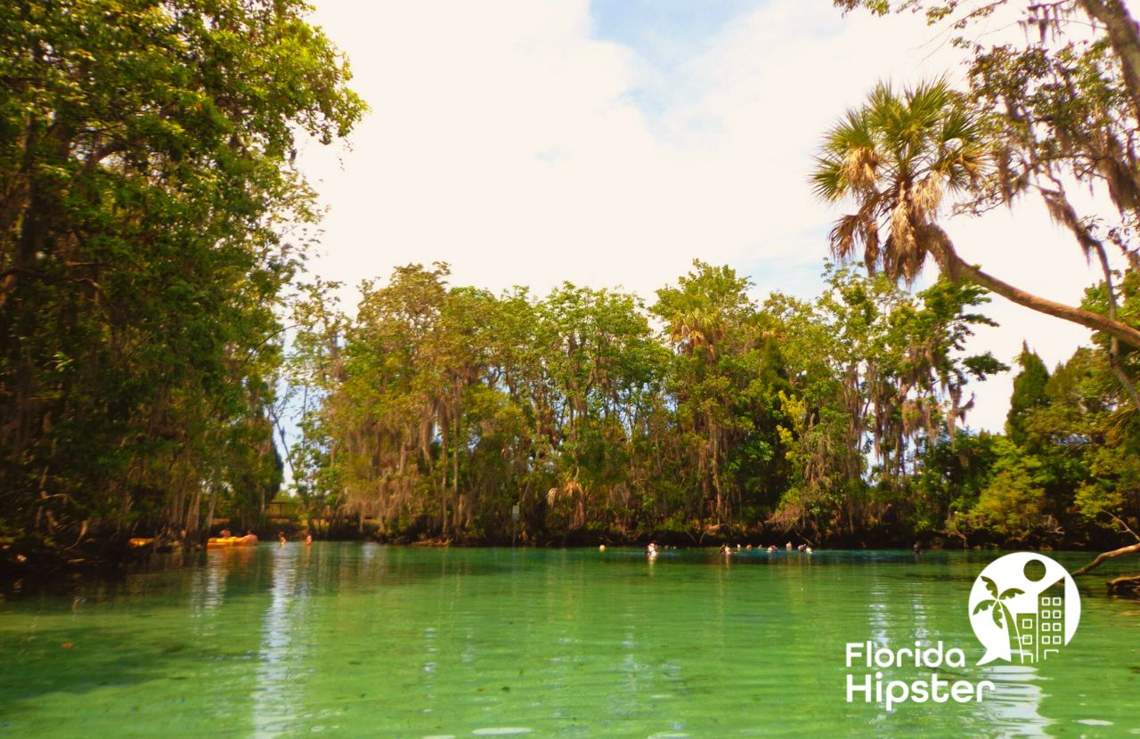 The Most Amazing Florida Vacation Spots for January! 10 Hidden Gems You ...