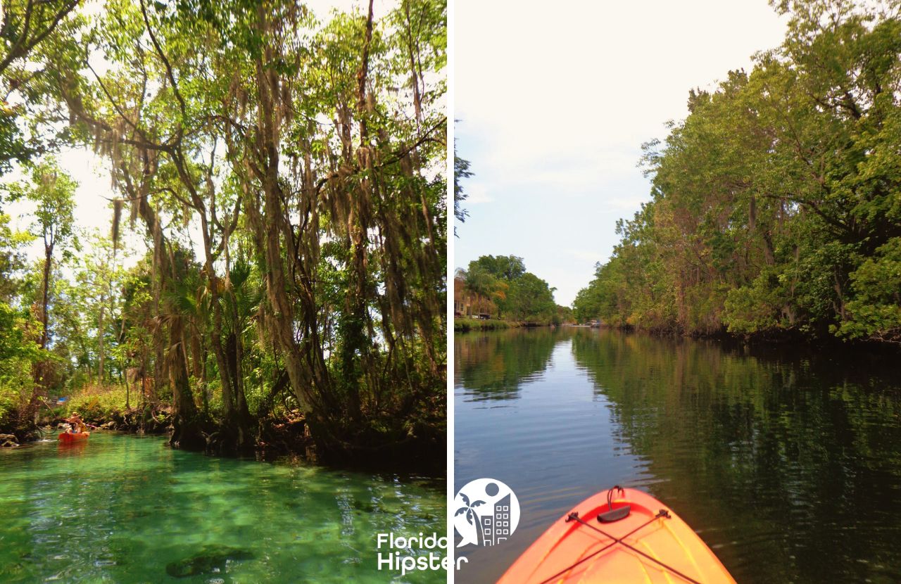 The Most Amazing Florida Vacation Spots for January! 10 Hidden Gems You ...
