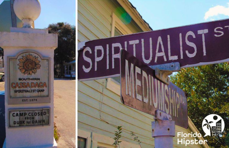 35 Scary and Fun Things to Do in Florida for Halloween (2025) - Florida ...