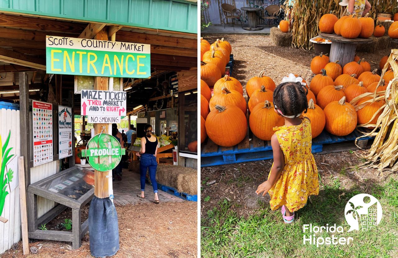 2025 Ultimate Florida Fall Bucket List: 10 Places You MUST Visit This ...