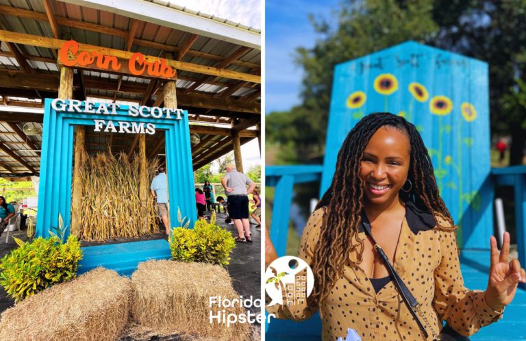 Top 7 Best Pumpkin Patches in Florida You Can’t Miss (2025) - Florida ...